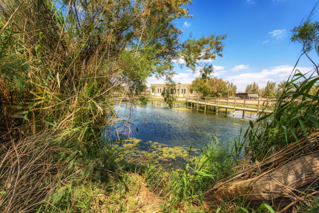Azraq Wetland Reserve | Ancient Jordan