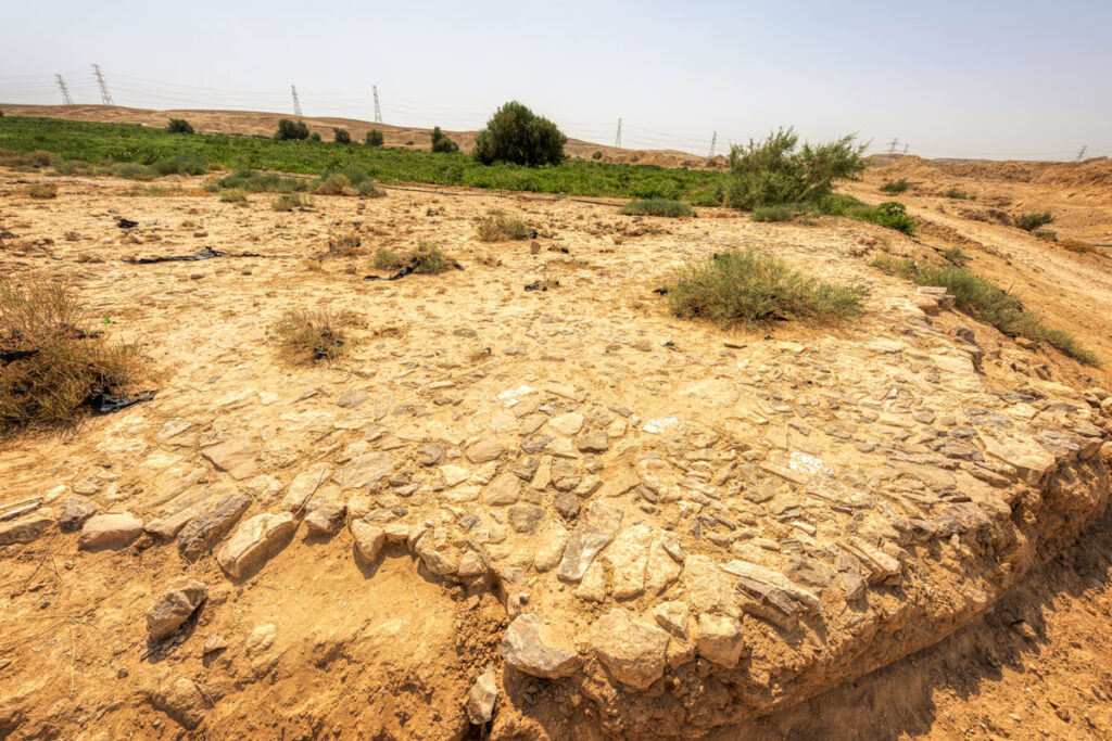 Qal'at Al-Hasa | Ancient Jordan