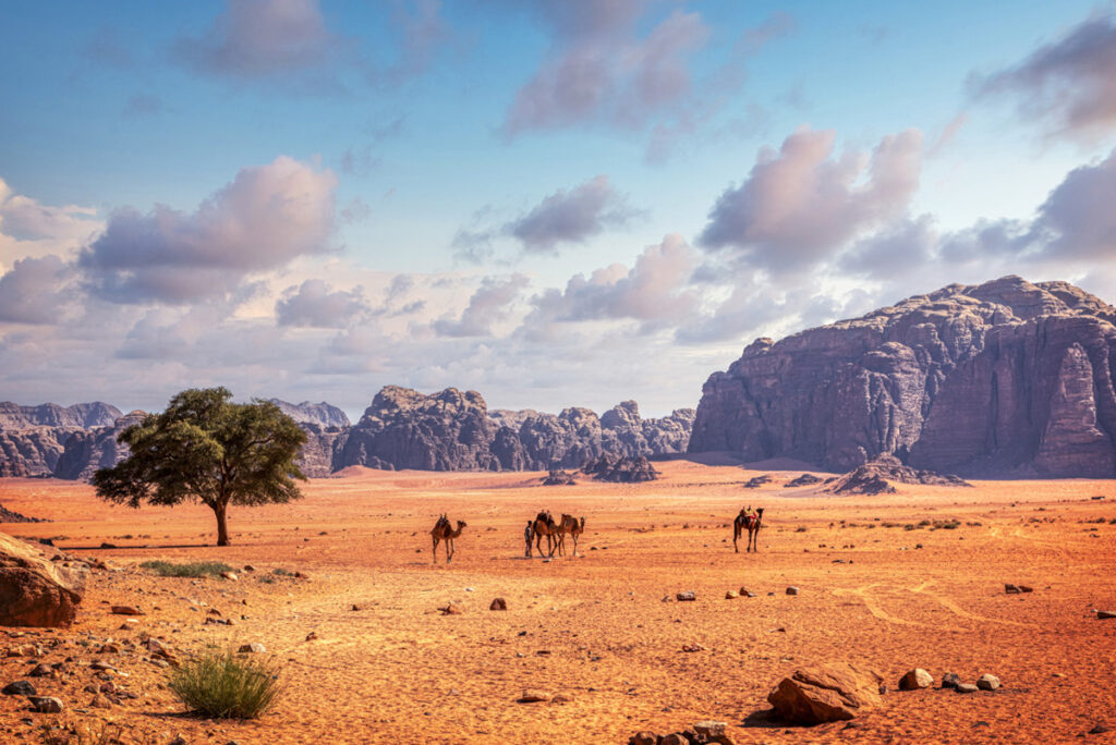 Wadi Rum Protected Area | Ancient Jordan