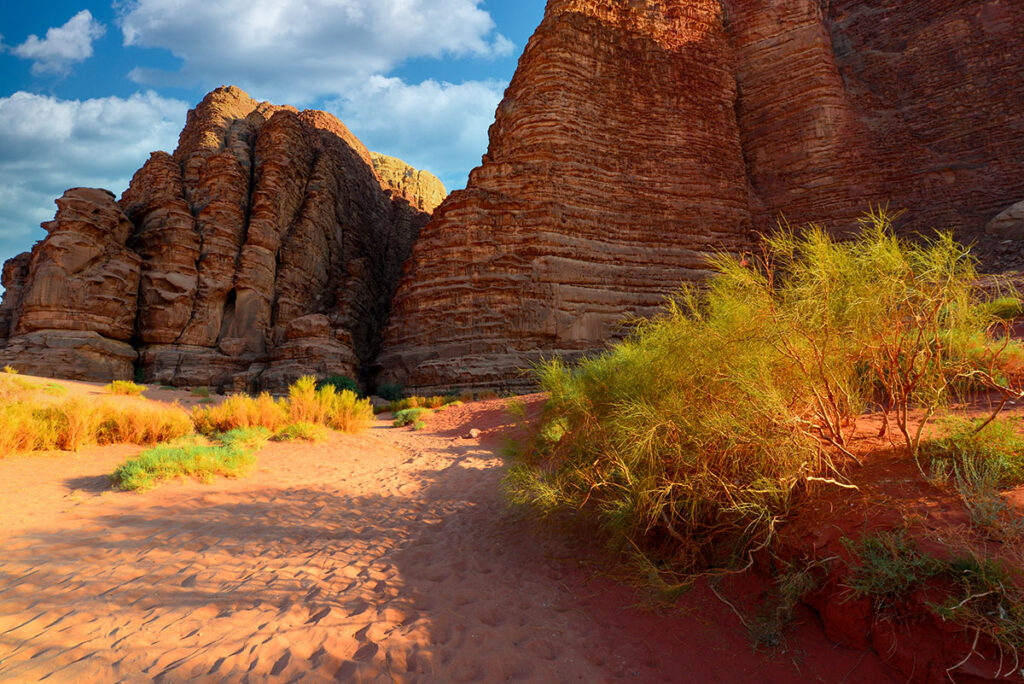 Wadi Rum Protected Area | Ancient Jordan
